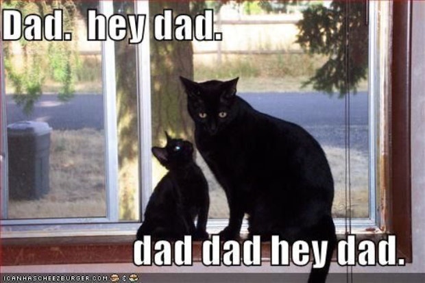 50 Funny Dad Memes And Dad Jokes To Share On Fathers Day 2021 Yourtango